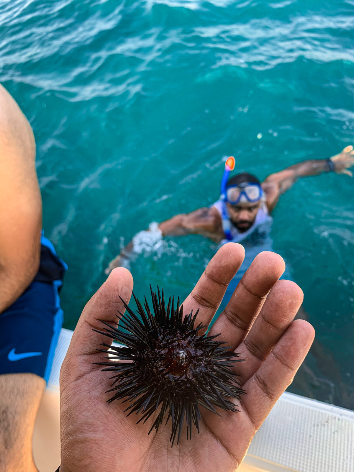 Kashta Tours – Organising Group Activities